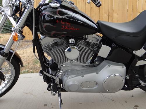 2002 Harley-Davidson® FXST/I Softail® Standard for Sale in Montrose, CO ...