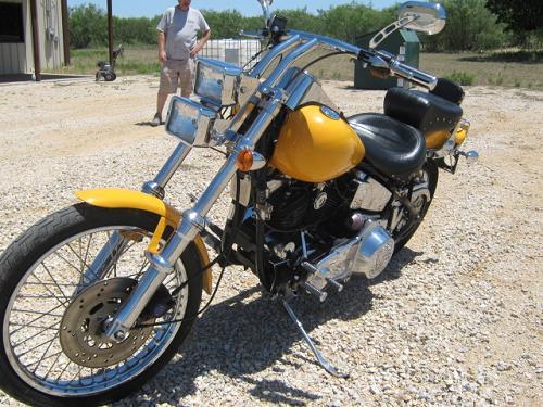 1985 Harley-Davidson® FXST Softail® for Sale in wichita falls, TX (Item ...