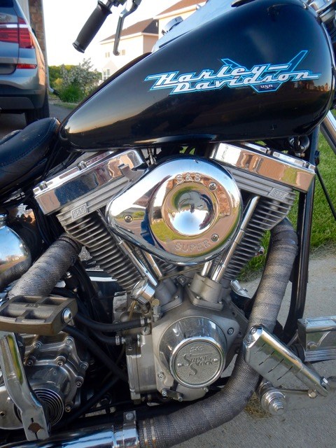 1985 Harley-Davidson® FXST Softail® for Sale in Chanhassen, MN (Item ...