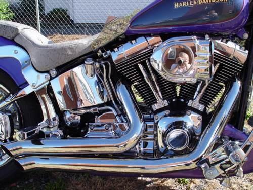 2002 Harley-Davidson® FXSTS/I Springer® Softail® for Sale in Gastonia ...