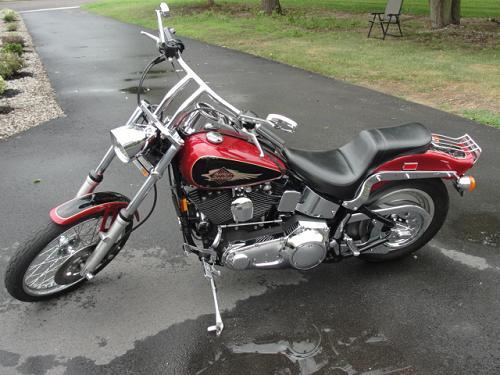 1998 Harley-Davidson® FXSTC Softail® Custom for Sale in Mount Royal, NJ ...
