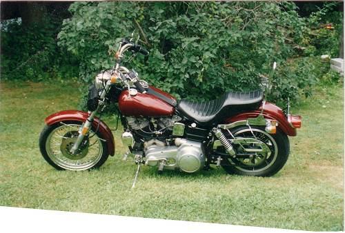 1982 Harley-Davidson® FXE Super Glide® for Sale in Southhampton, NY ...