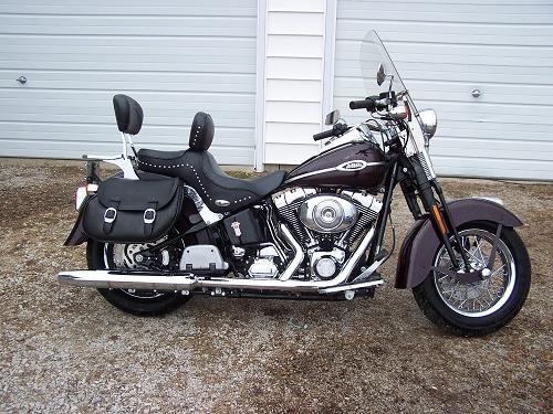 2005 Harley-Davidson® FLSTSC/I Softail® Springer® Classic for Sale in ...
