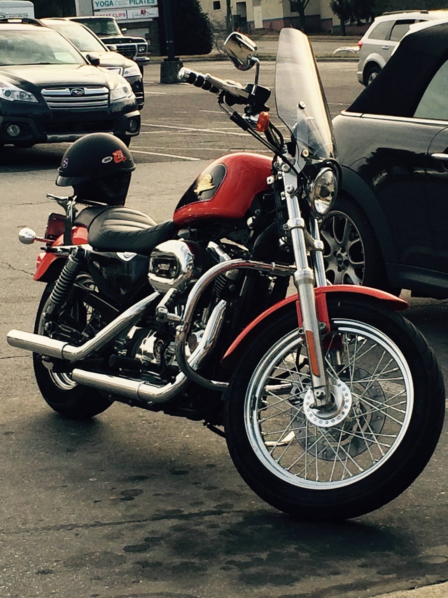 2007 Harley-Davidson® XL50 Sportster® 1200 50th Anniversary for Sale in ...