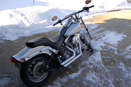 2004 Harley-Davidson® FXST/I Softail® Standard for Sale in Green Bay ...