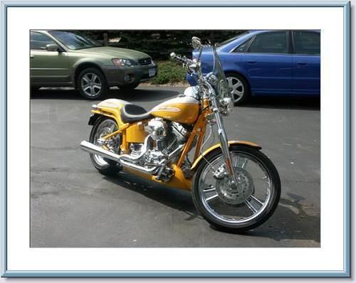 2004 Harley-Davidson® FXSTDSE2 Screamin' Eagle® Softail® Deuce for Sale ...