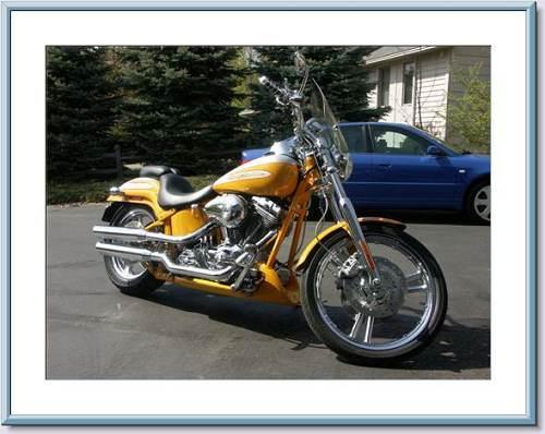 2004 Harley-Davidson® FXSTDSE2 Screamin' Eagle® Softail® Deuce for Sale ...
