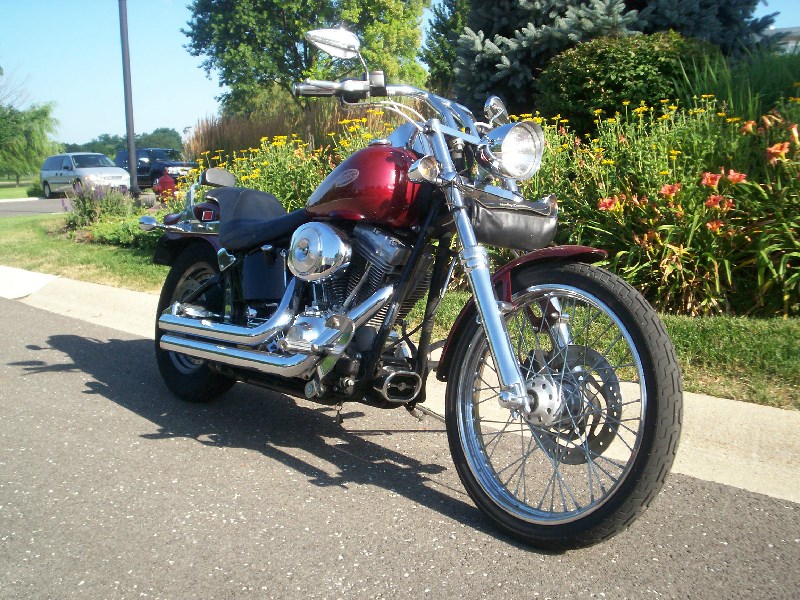 2001 Harley-Davidson® FXST/I Softail® Standard for Sale in Elk Grove ...