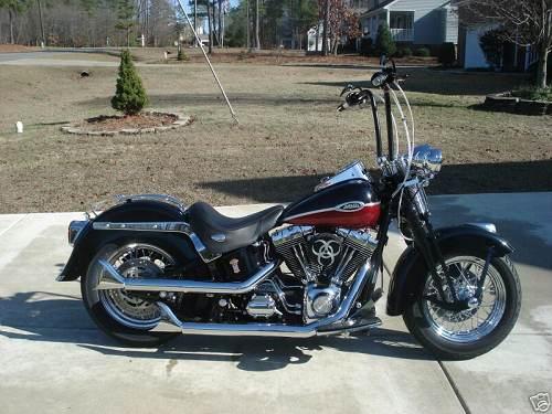 2005 Harley-Davidson® FLSTSC/I Softail® Springer® Classic for Sale in ...