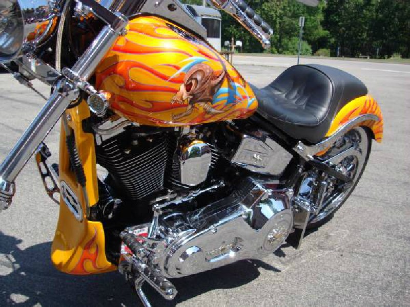 1996 Harley-Davidson® FXSTC Softail® Custom for Sale in Lawtons, NY ...