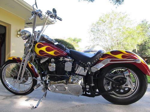 1993 Harley-Davidson® FXSTS Springer® Softail® for Sale in Tampa, FL ...
