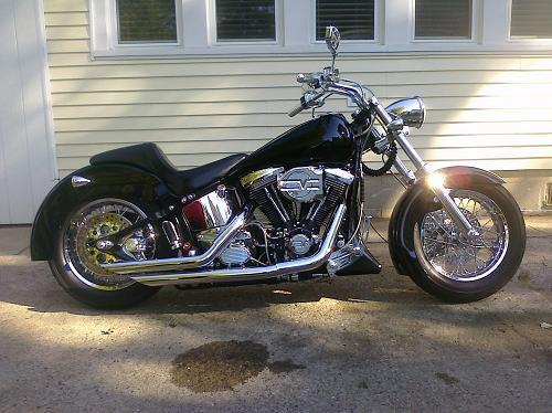 1990 Harley-Davidson® FXSTC Softail® Custom for Sale in VASSAR, MI ...