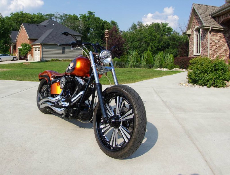 2006 Harley-Davidson® FXSTC Softail® Custom for Sale in Rantoul, IL ...