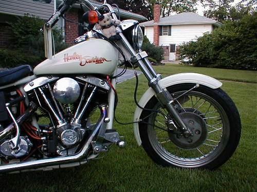 1981 Harley-Davidson® FXE Super Glide® for Sale in East Northport, NY ...