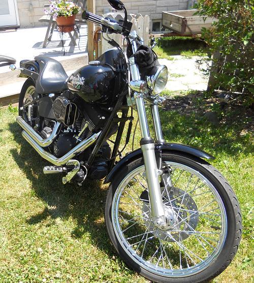 2004 Harley-Davidson® FXSTB/I Softail® Night Train® for Sale in ...