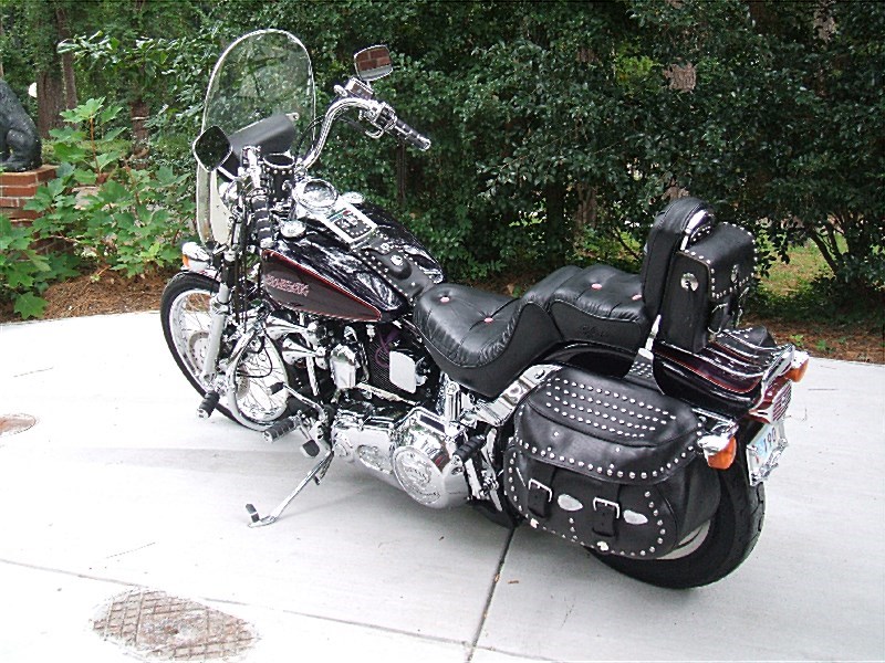 1994 Harley-Davidson® FXSTC Softail® Custom for Sale in Matthews, NC ...