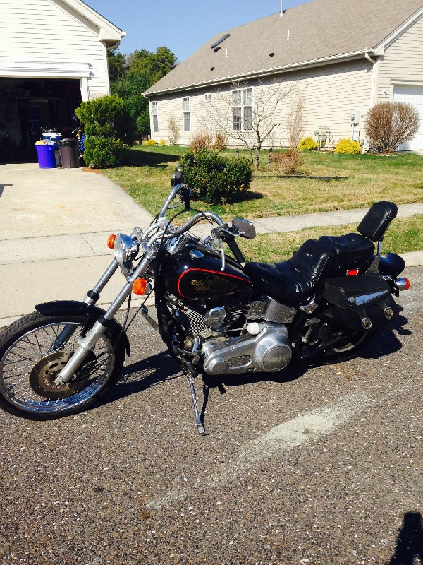 1987 Harley-Davidson® FXST Softail® for Sale in Southampton, NJ (Item ...