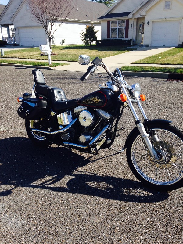 1987 Harley-Davidson® FXST Softail® for Sale in Southampton, NJ (Item ...