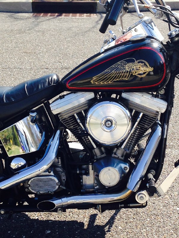 1987 Harley-Davidson® FXST Softail® for Sale in Southampton, NJ (Item ...