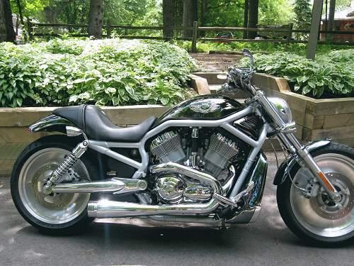 2003 Harley-Davidson® VRSCA V-Rod® for Sale in Minnetonka, MN (Item 56005)