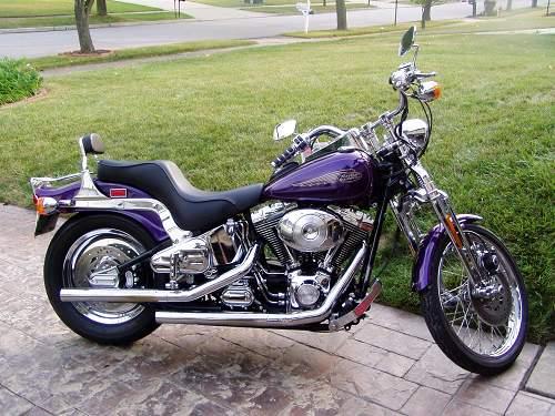2000 Harley-Davidson® FXSTS Softail® Springer® for Sale in Hudson, OH ...