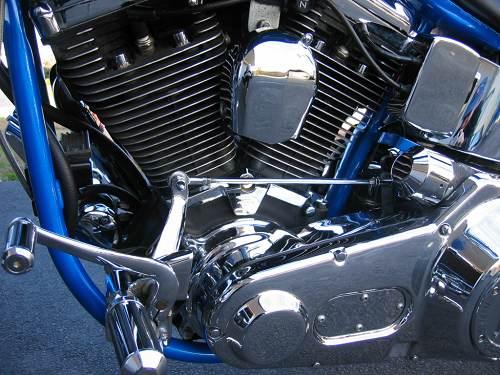1987 Harley-Davidson® FXSTC Softail® Custom for Sale in Perrineville ...