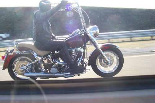 1989 Harley-Davidson® FXST Softail® Standard for Sale in cameron park ...