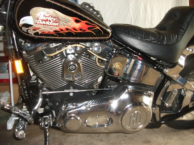 1998 Harley-Davidson® FXSTC Softail® Custom for Sale in Glen Ellyn, IL ...