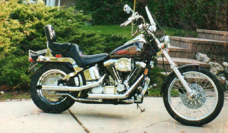 1998 Harley-Davidson® FXSTC Softail® Custom for Sale in Glen Ellyn, IL ...