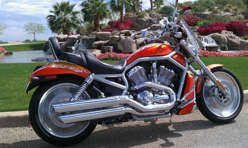 2003 Harley-Davidson® VRSCA V-Rod® for Sale in Indio, CA (Item 269073)