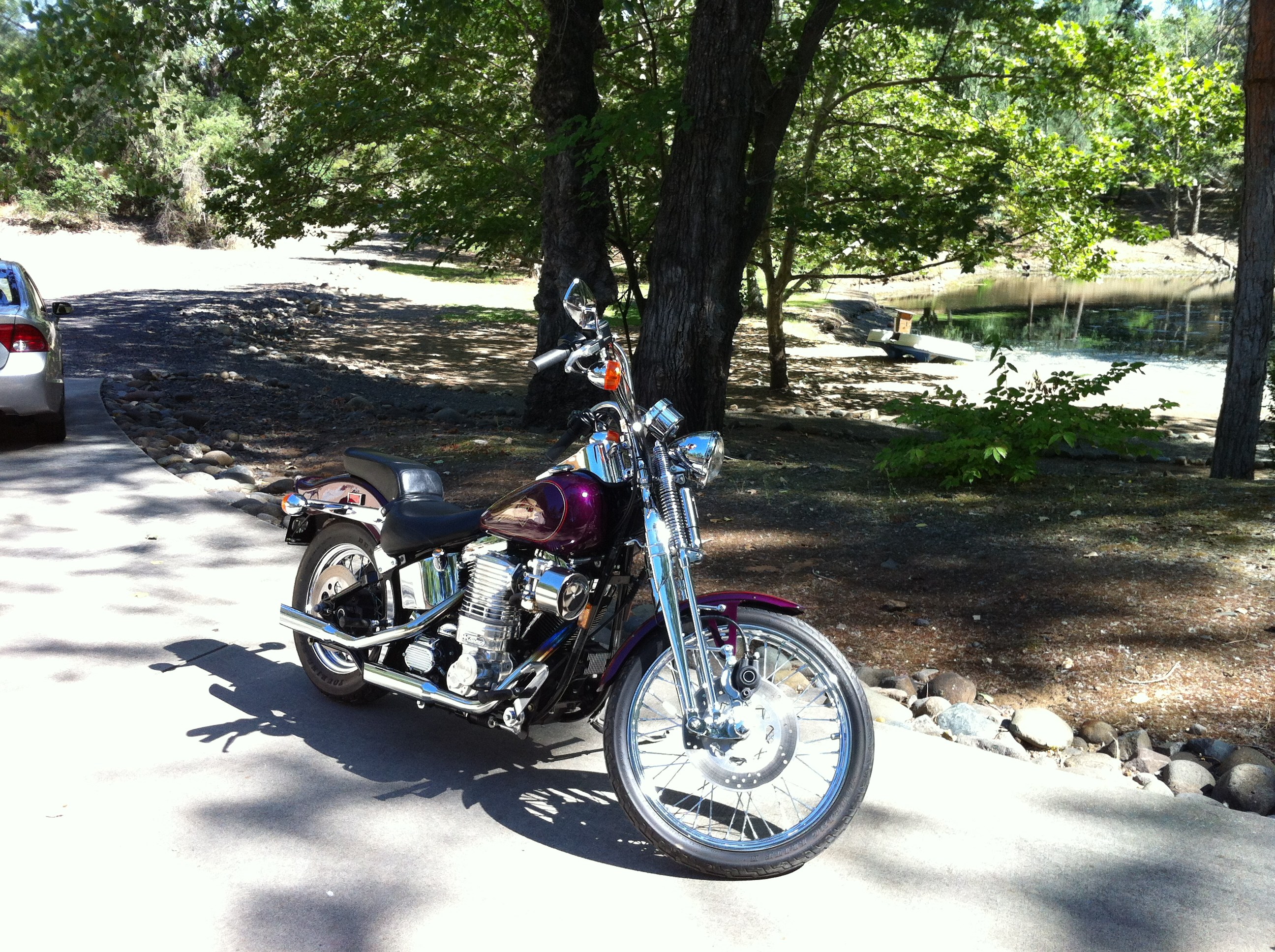 1995 Harley-Davidson® FXSTS Springer® Softail® for Sale in Chico, CA ...