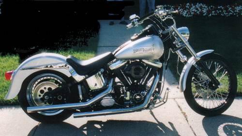 1989 Harley-Davidson® FXSTC Softail® Custom for Sale in KENOSHA, WI ...