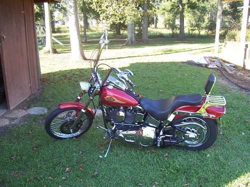 1994 Harley-Davidson® FXSTC Softail® Custom for Sale in gonzales, LA ...