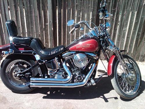 1990 Harley-Davidson® FXSTS Springer® Softail for Sale in Alpine, TX ...
