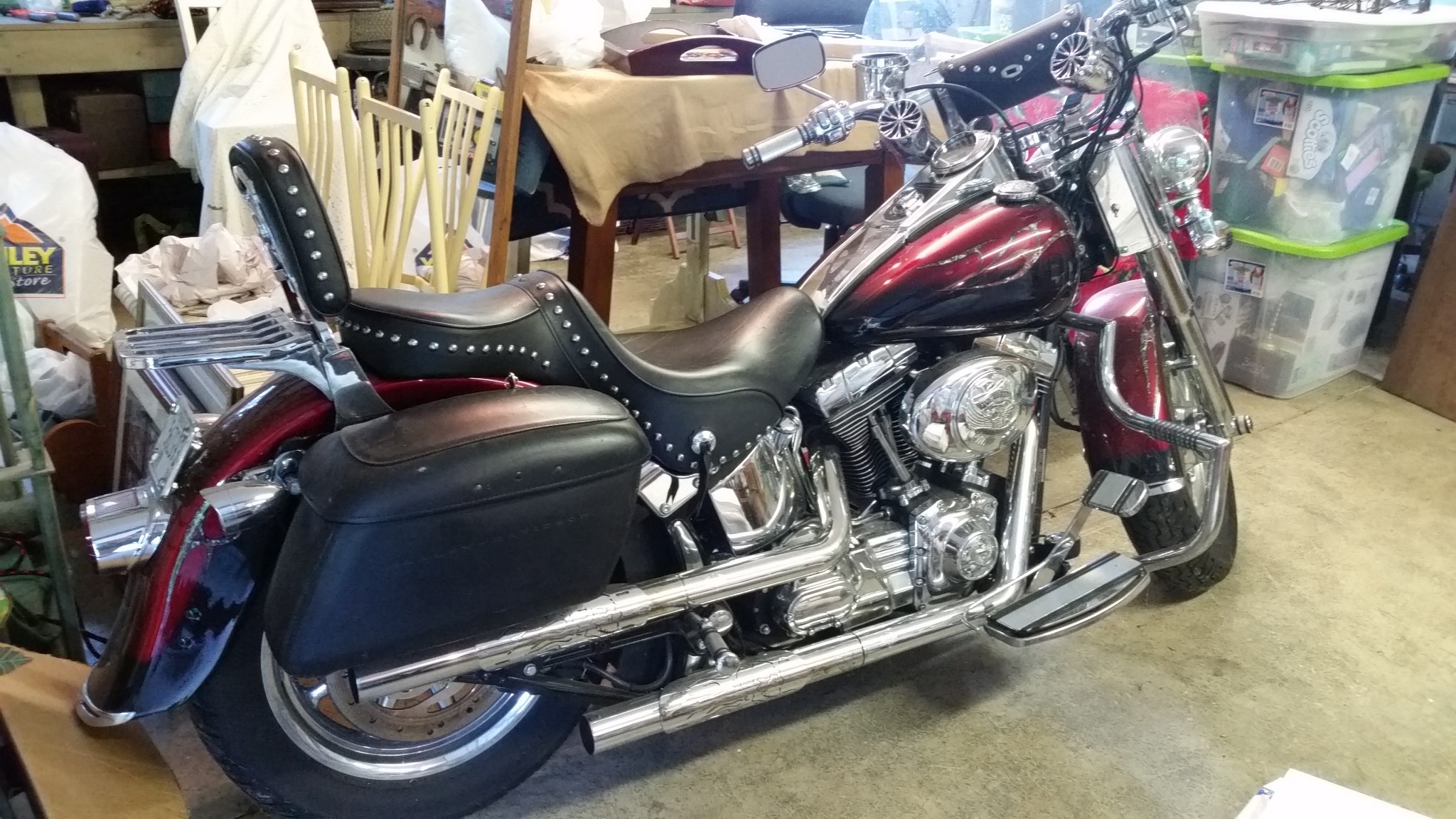 2004 Harley-Davidson® FXSTC Softail® Custom for Sale in Beechgrove, TN ...