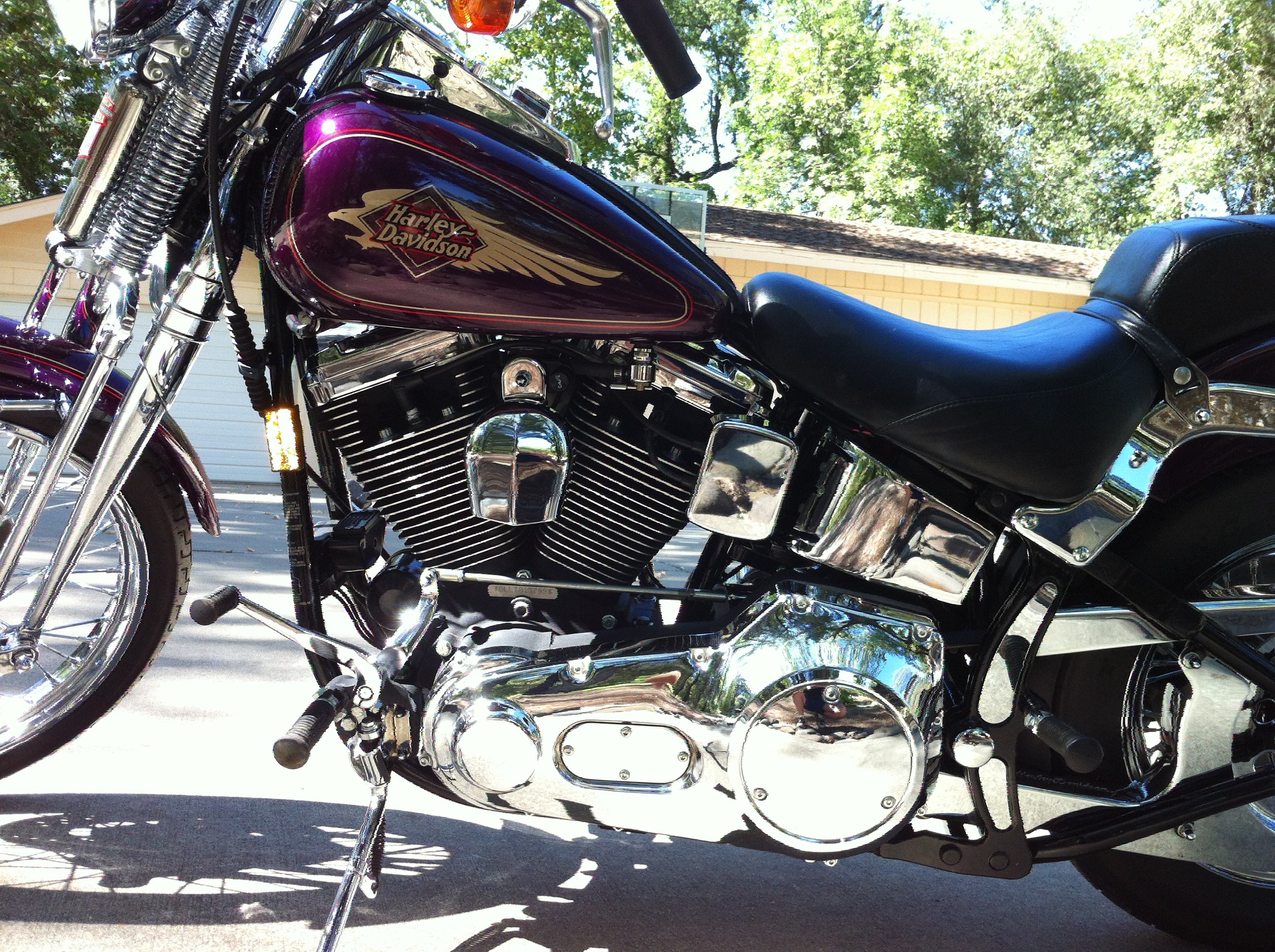 1995 Harley-Davidson® FXSTS Springer® Softail® for Sale in Chico, CA ...