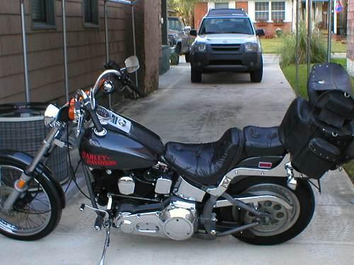 1990 Harley-Davidson® FXSTC Softail® Custom for Sale in Jacksonville ...