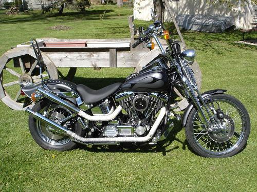 1999 Harley-Davidson® FXSTS Springer® Softail® for Sale in Elsie, MI ...