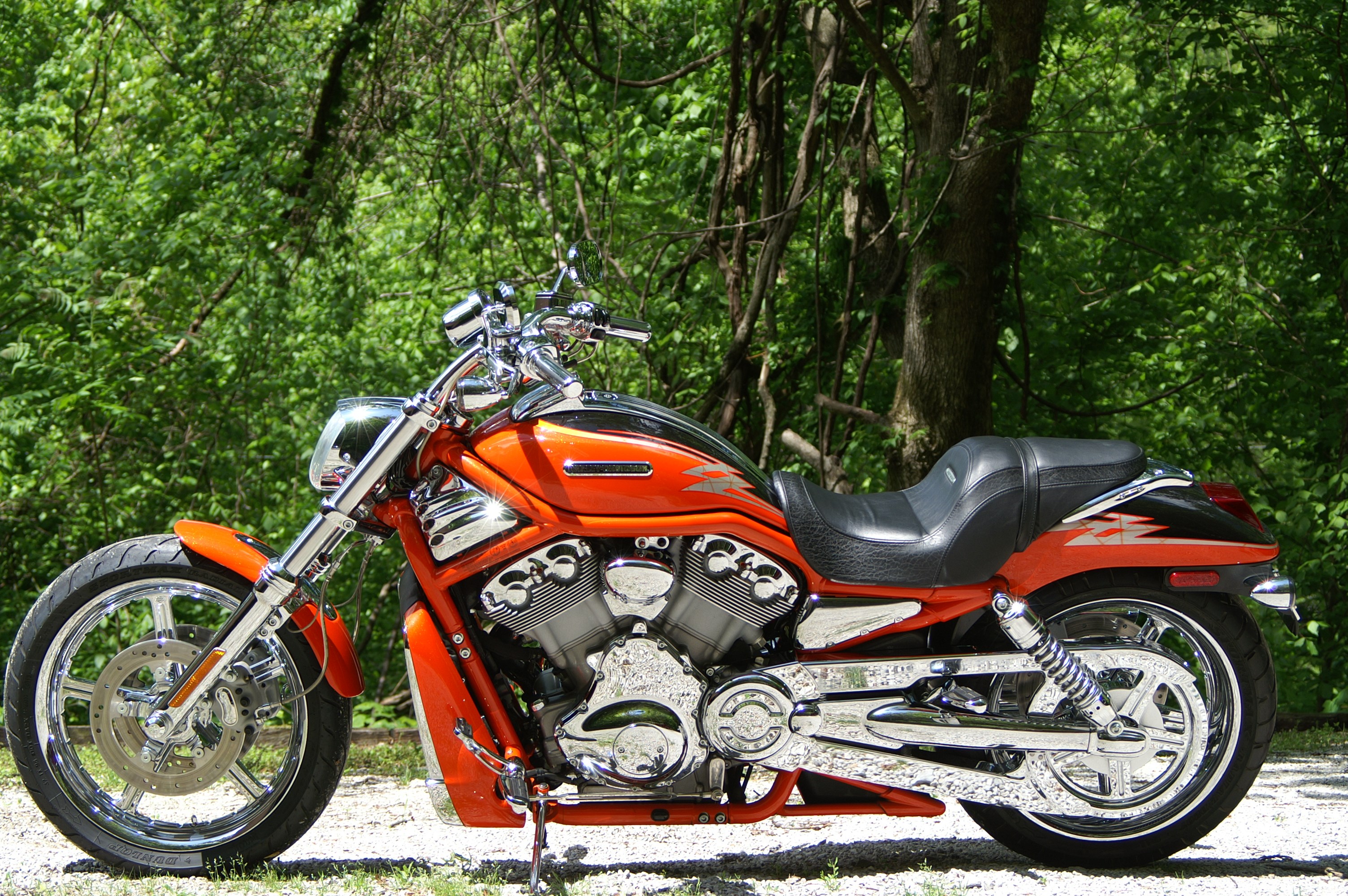 2005 Harley-Davidson® VRSCSE Screamin' Eagle® V-Rod® for Sale in ...