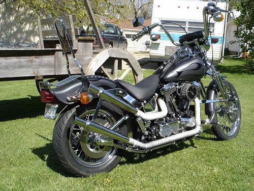 1999 Harley-Davidson® FXSTS Springer® Softail® for Sale in Elsie, MI ...