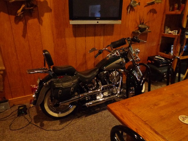 1996 Harley-Davidson® FLSTN Heritage Softail® Nostalgia for Sale in ...