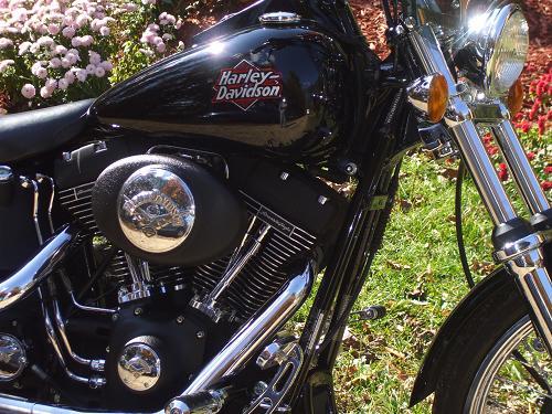 2000 Harley-Davidson® FXSTB Night Train® for Sale in Brodhead, WI (Item ...