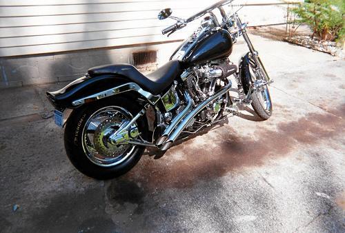 1991 Harley-Davidson® FXSTC Softail® Custom for Sale in VASSAR, MI ...