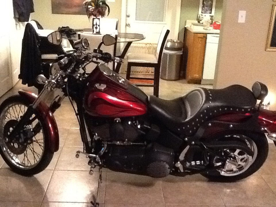 2004 Harley-Davidson® FXSTB/I Softail® Night Train® for Sale in Belle ...