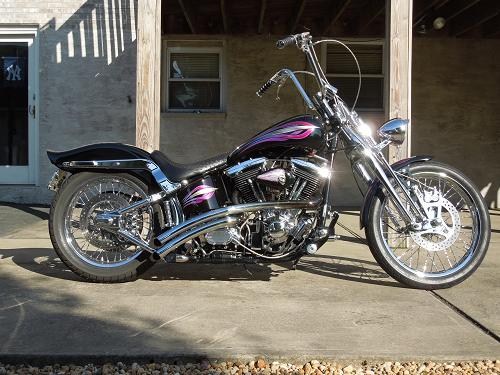 1994 Harley-Davidson® FXSTS Springer® Softail® for Sale in Palisades ...