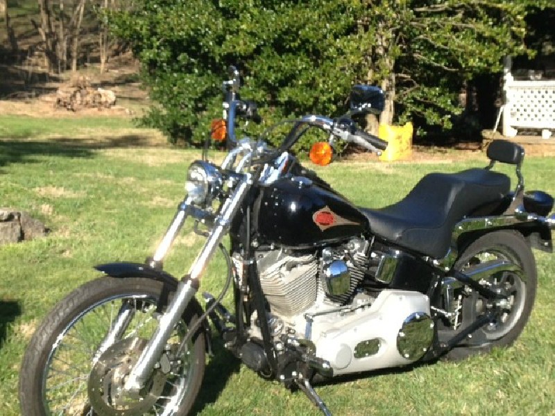 2001 Harley-Davidson® FXST/I Softail® Standard for Sale in Roanoke, VA ...