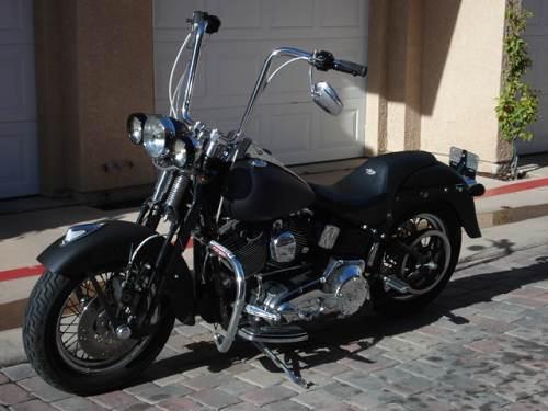 2005 Harley-Davidson® FLSTSC/I Softail® Springer® Classic for Sale in ...