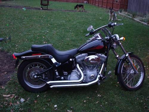 2005 Harley-Davidson® FXST/I Softail® Standard for Sale in joliet, IL ...