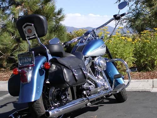 2005 Harley-Davidson® FLSTSC/I Softail® Springer® Classic for Sale in ...