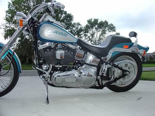 1994 Harley-Davidson® FXSTC Softail® Custom for Sale in Parrish, FL ...